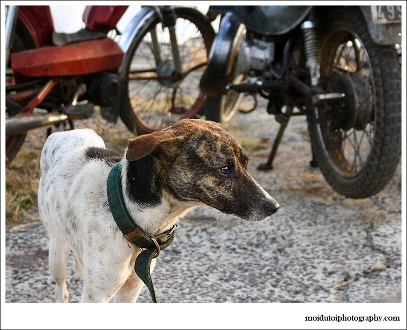 BACK IN 10 MINUTES… – moi du toi photography