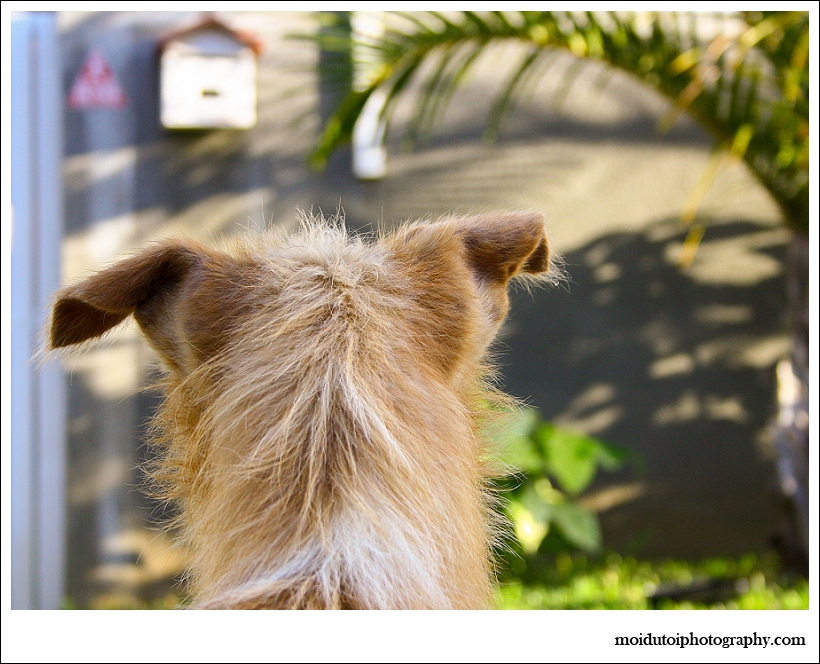 BACK IN 10 MINUTES… – moi du toi photography