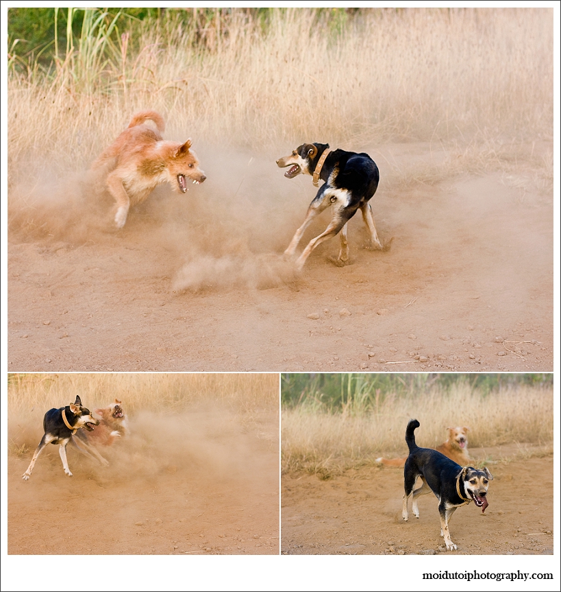 BACK IN 10 MINUTES… – moi du toi photography